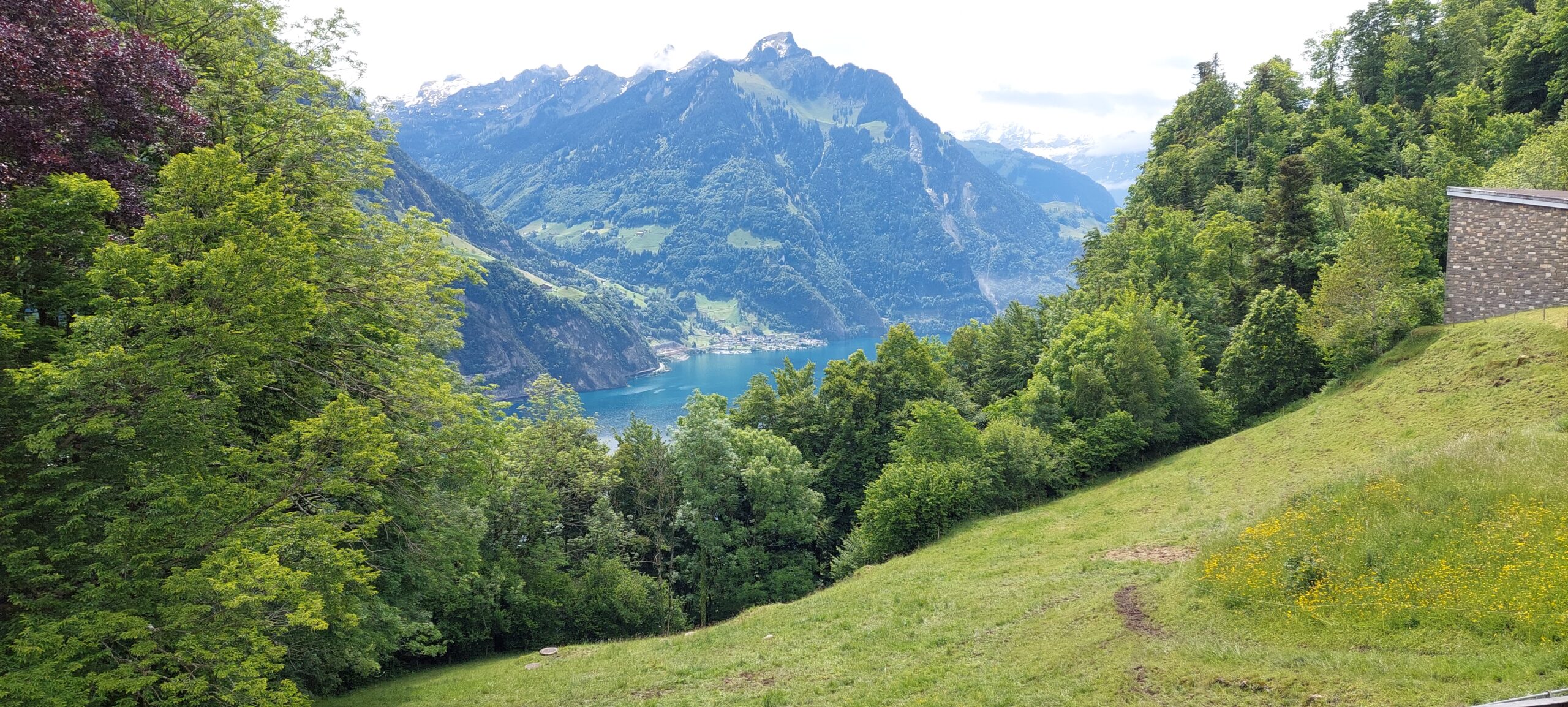 Photos de l'excursion à SEELISBERG le 26 mai 2025 – Delta Revie Haut-Rhin